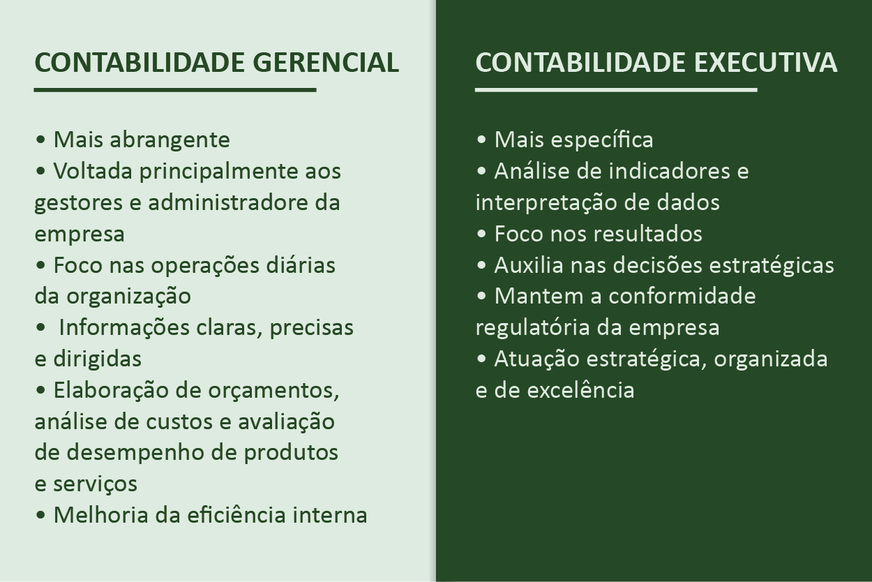 Contabilidade gerencial: fundamentos e aplicações práticas